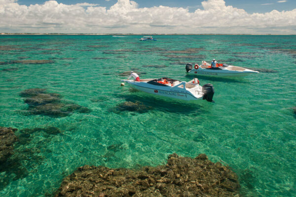 o que fazer em Maracajaú