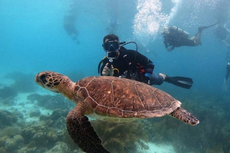 Diving Course in Ilhabela - Open Water Diver PADI